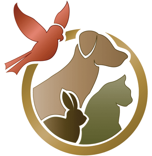Le pelage du chien : types de poils, structure, mues… – Pet sitter ...