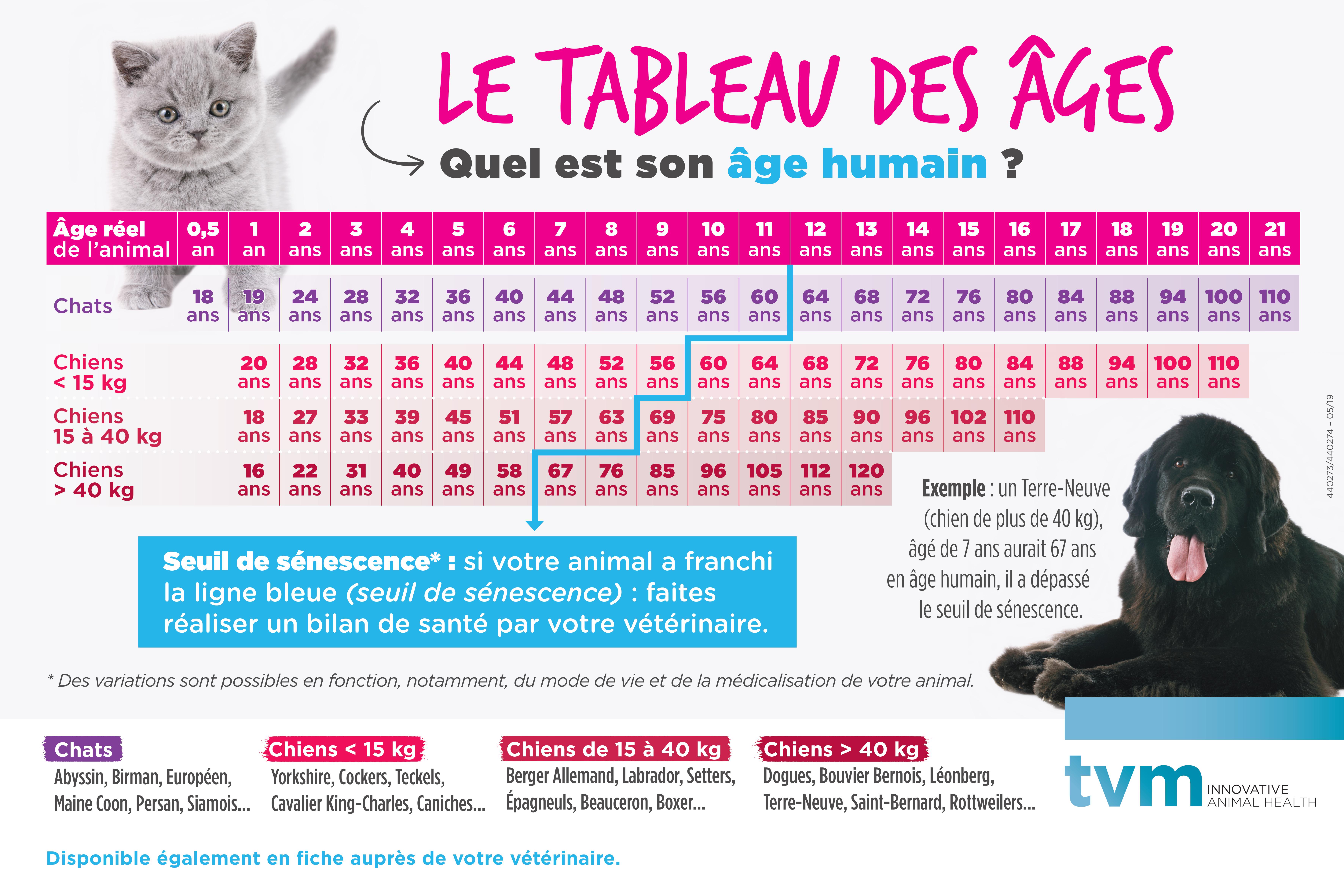 Quel âge humain a mon chien ou mon chat ? – Pet sitter Chambéry ...